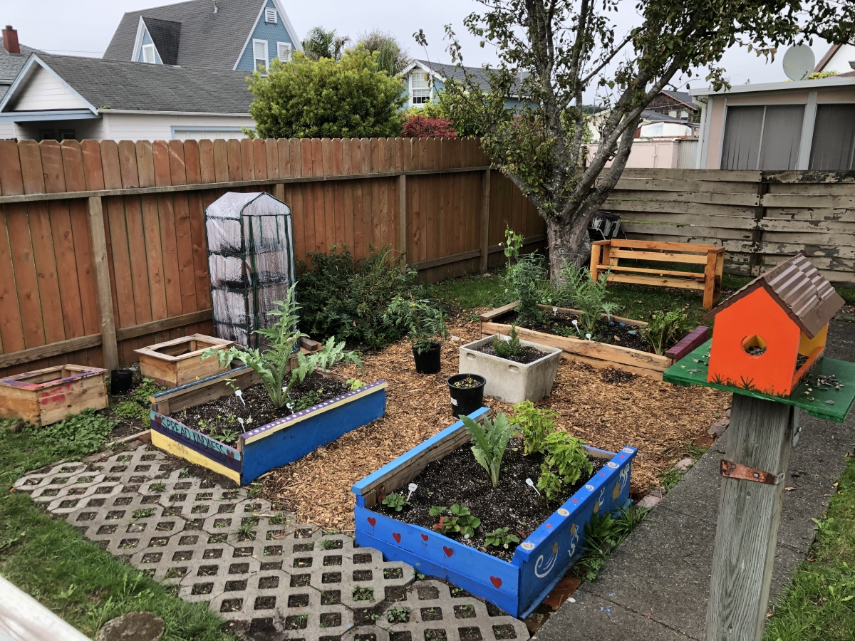 Community Programs | Redwood Community Action Agency